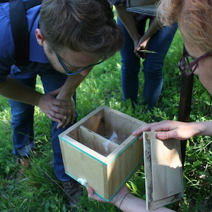 Essere consapevoli delle piante e degli impollinatori | Life 4 Pollinators